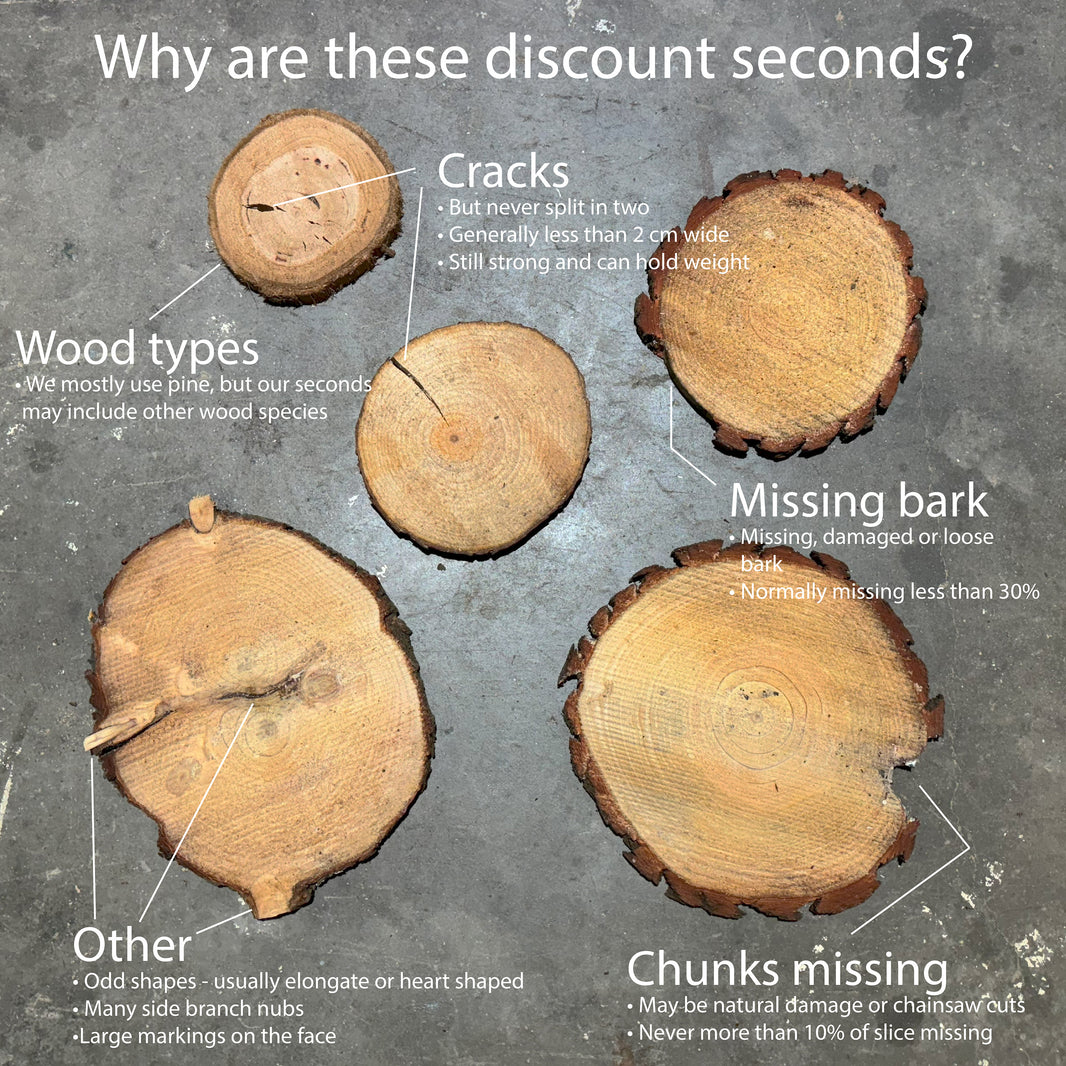 Large Wood Slices | Stringybark Supplies
