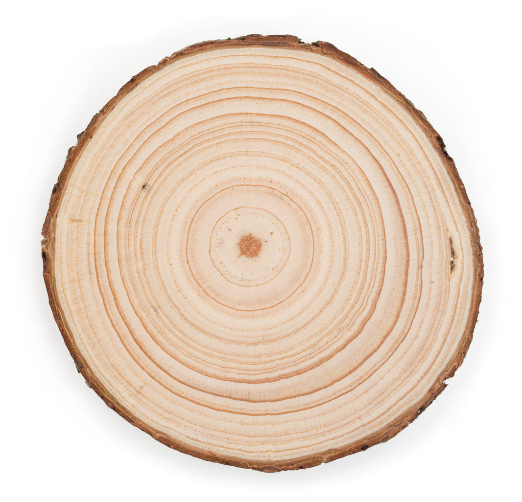 Small Wood Slices (up to 14 cm) | Stringybark Supplies