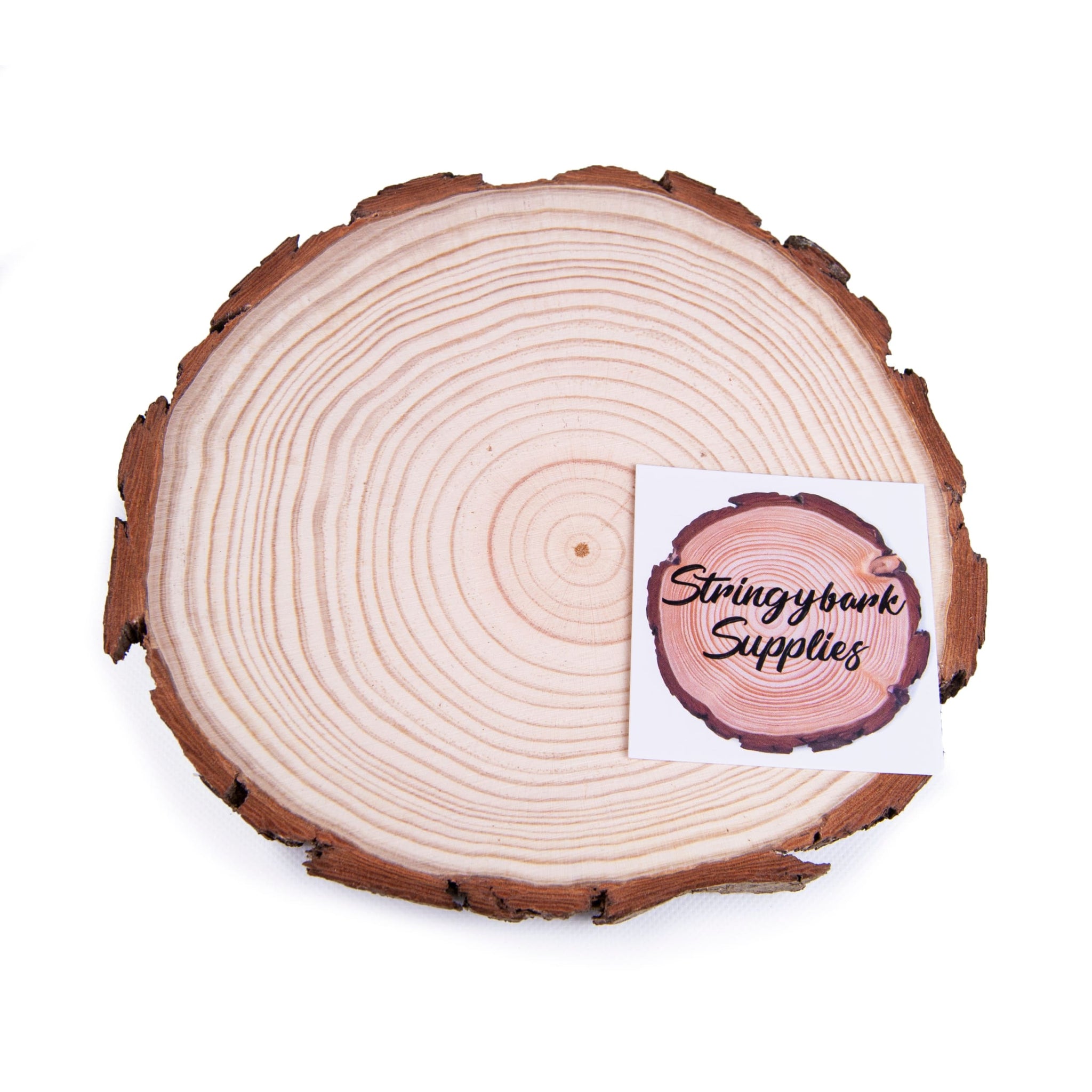 Pine Wood Slices - Sanded 12 - 35 cm | Stringybark Supplies
