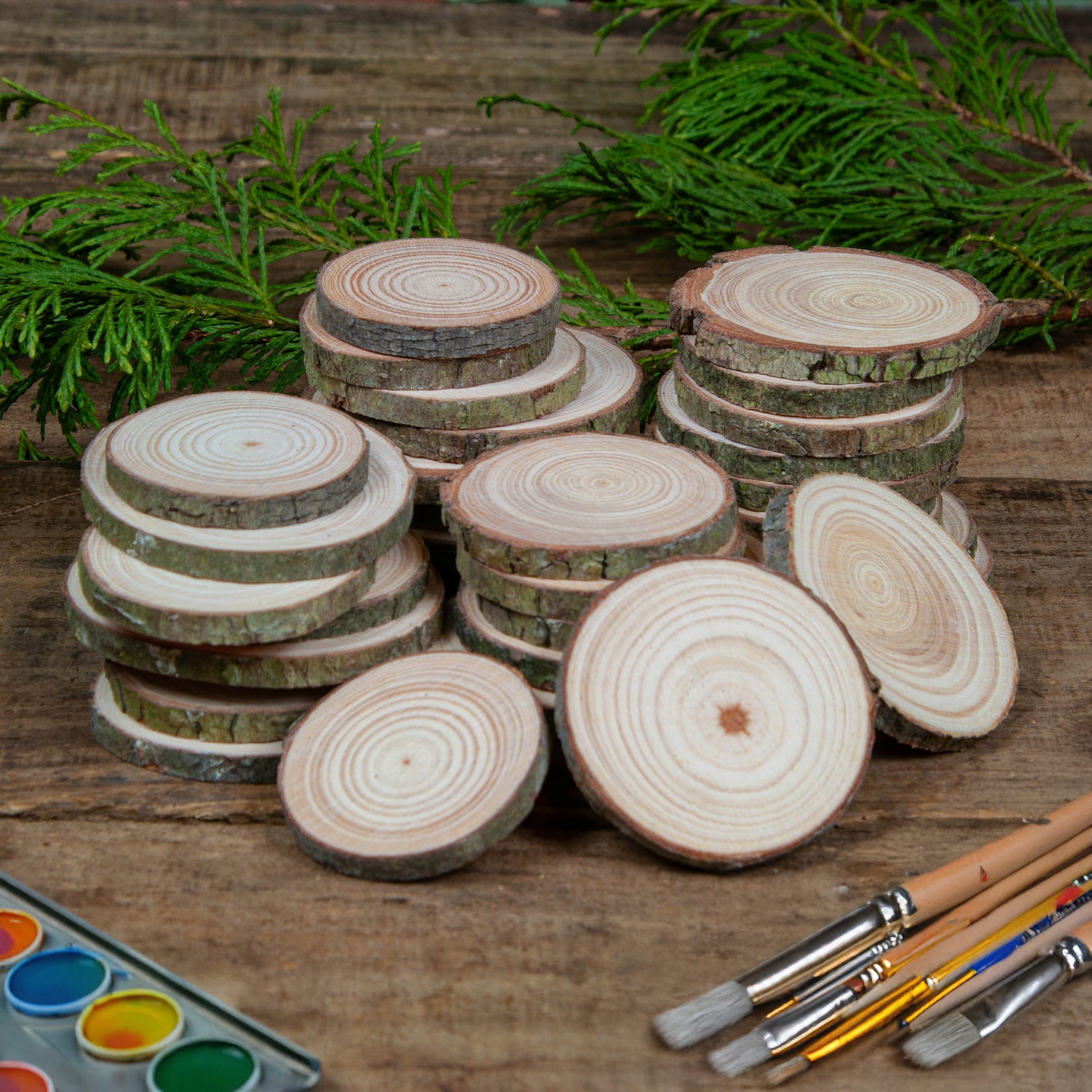 Wood Slices 6 - 8 cm (Pack of 10) | Stringybark Supplies