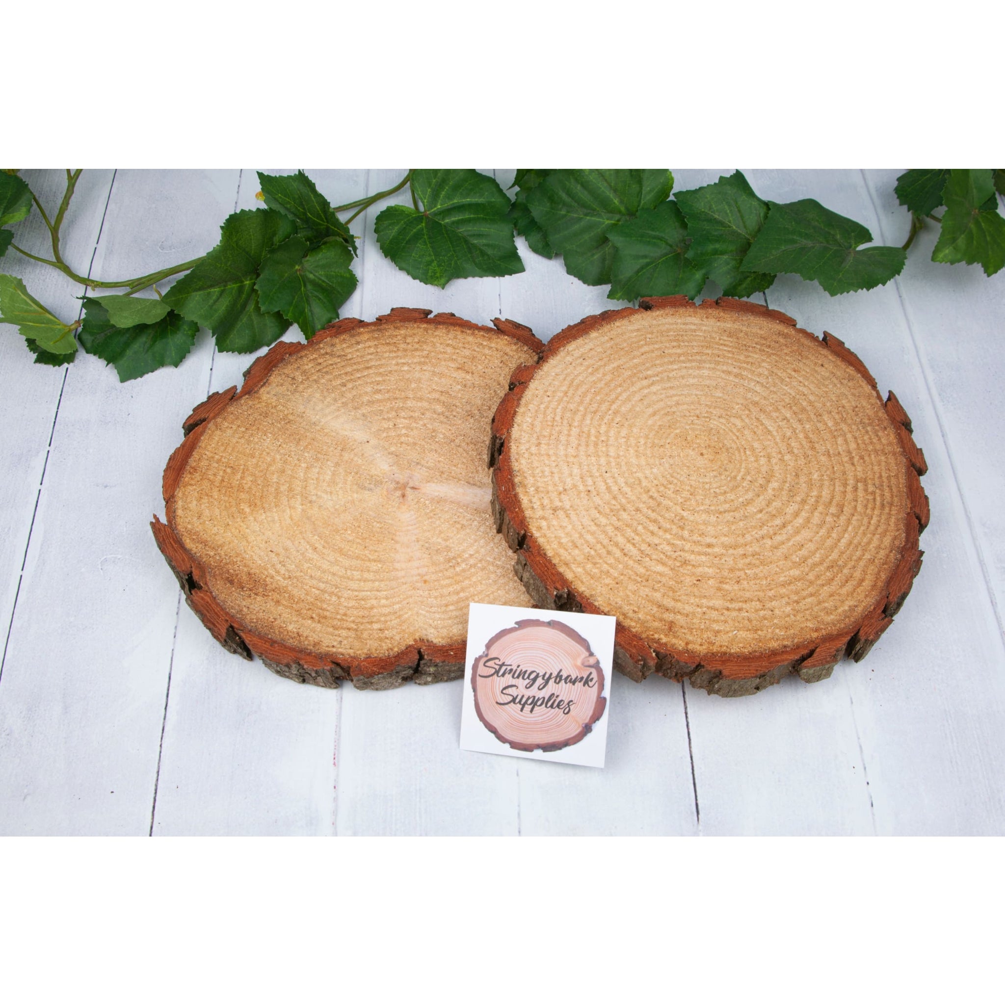 Rustic Wood Slices for Centerpieces | Stringybark Supplies